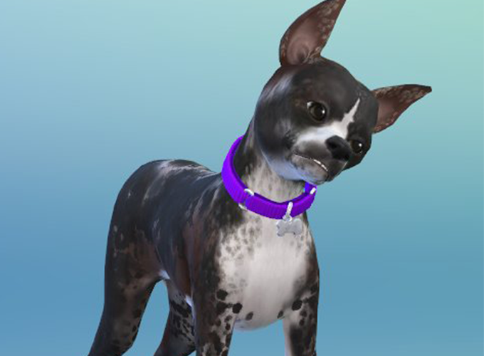 The Sims 4 Cats & Dogs: SimGuruEmory Simifies Player Pets! | SimsVIP
