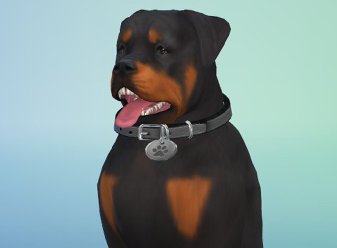 The Sims 4 Cats & Dogs: More Create-a-Pet Screens! | SimsVIP