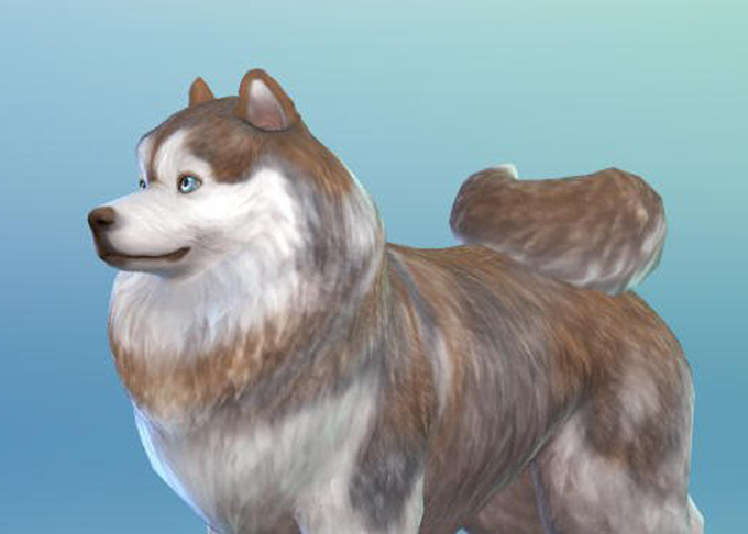 SimsVIP - The latest news and updates from The Sims