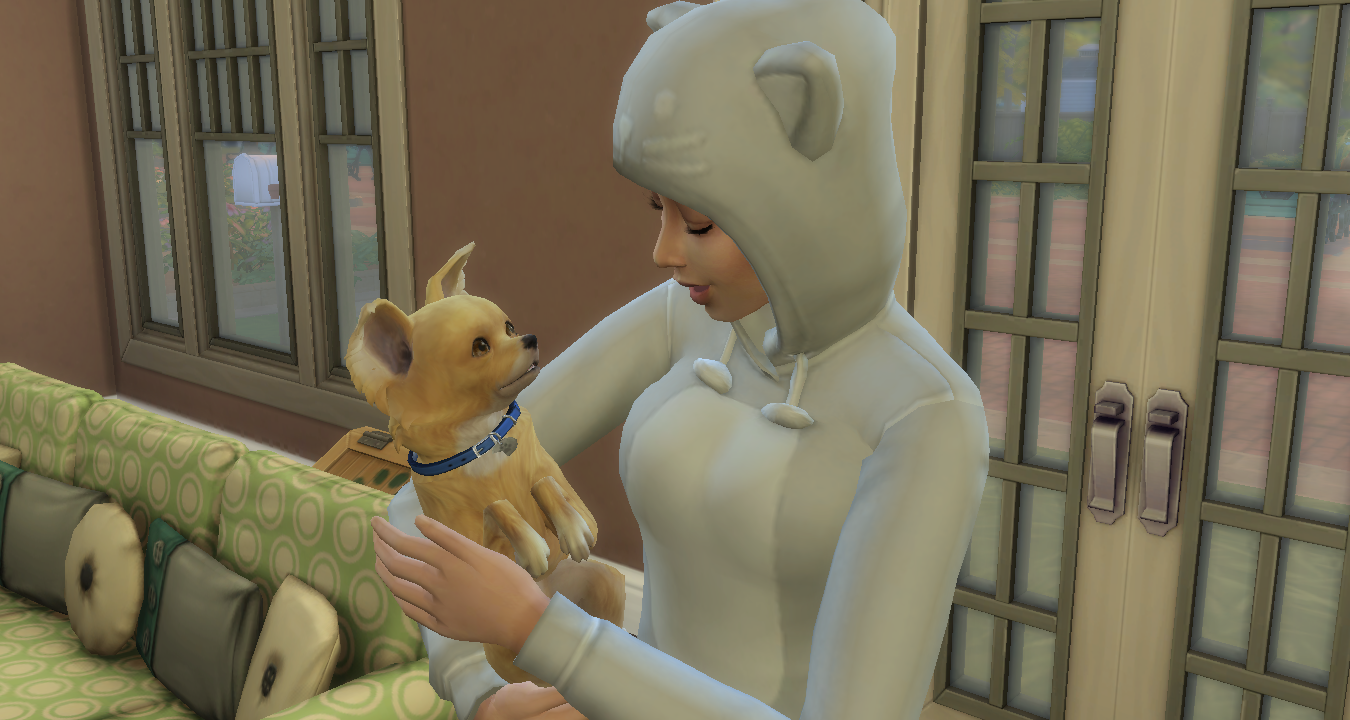 Life With Pets in The Sims 4 Cats & Dogs | SimsVIP
