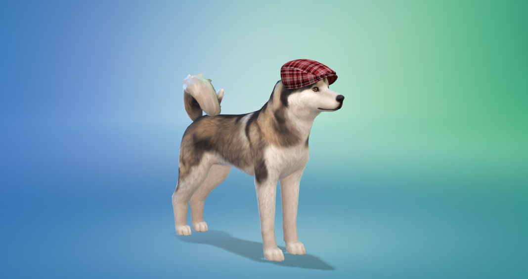 The Sims 4 My First Pet Stuff Pack Guide | SimsVIP