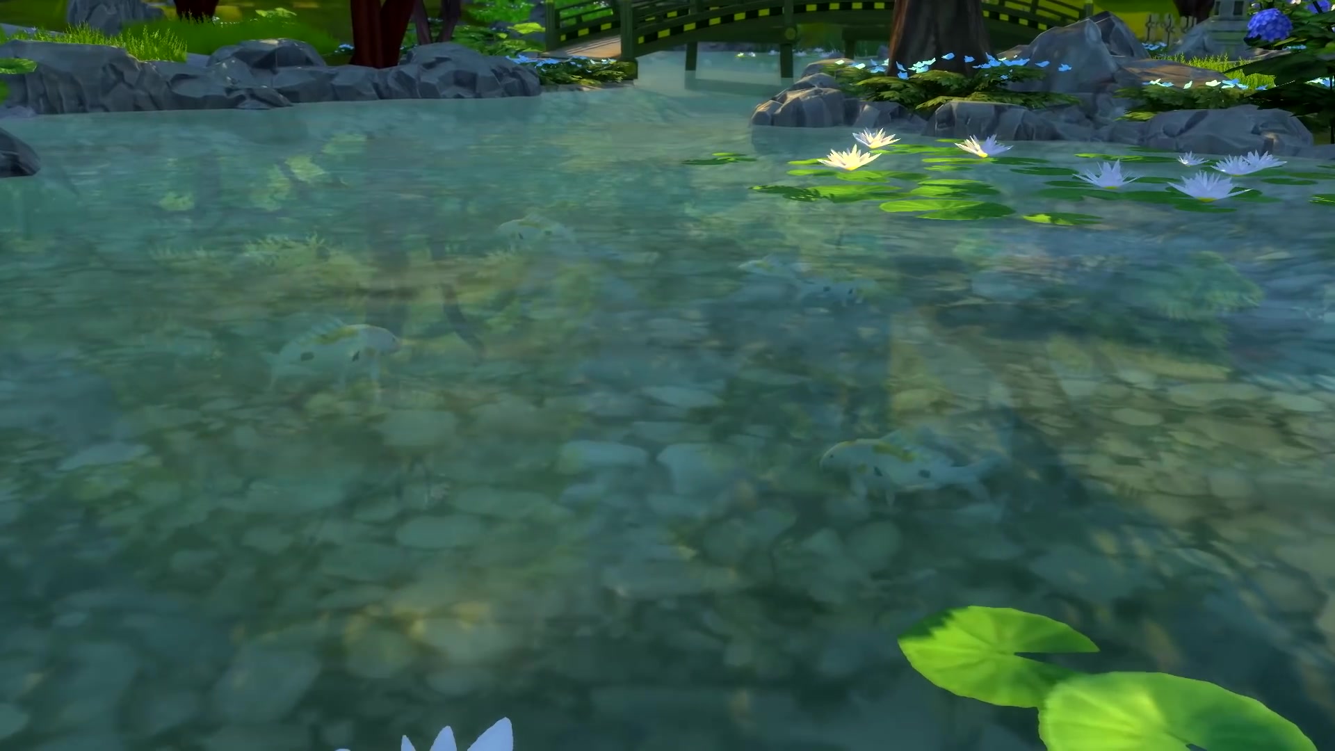 Wow Jade Lungfish Farming