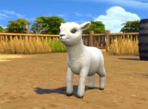 The Sims 4 Gallery Spotlight | SimsVIP